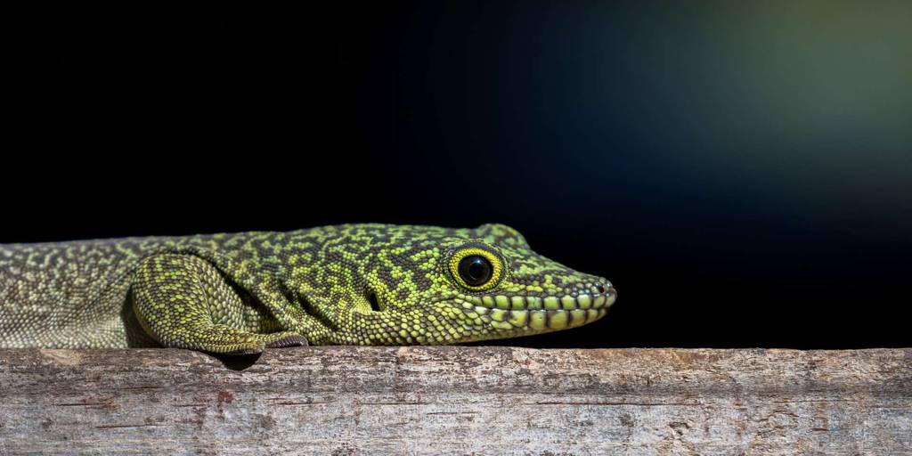 Viaje a Madagascar de 15 días: reservas naturales, lémures y baobabs